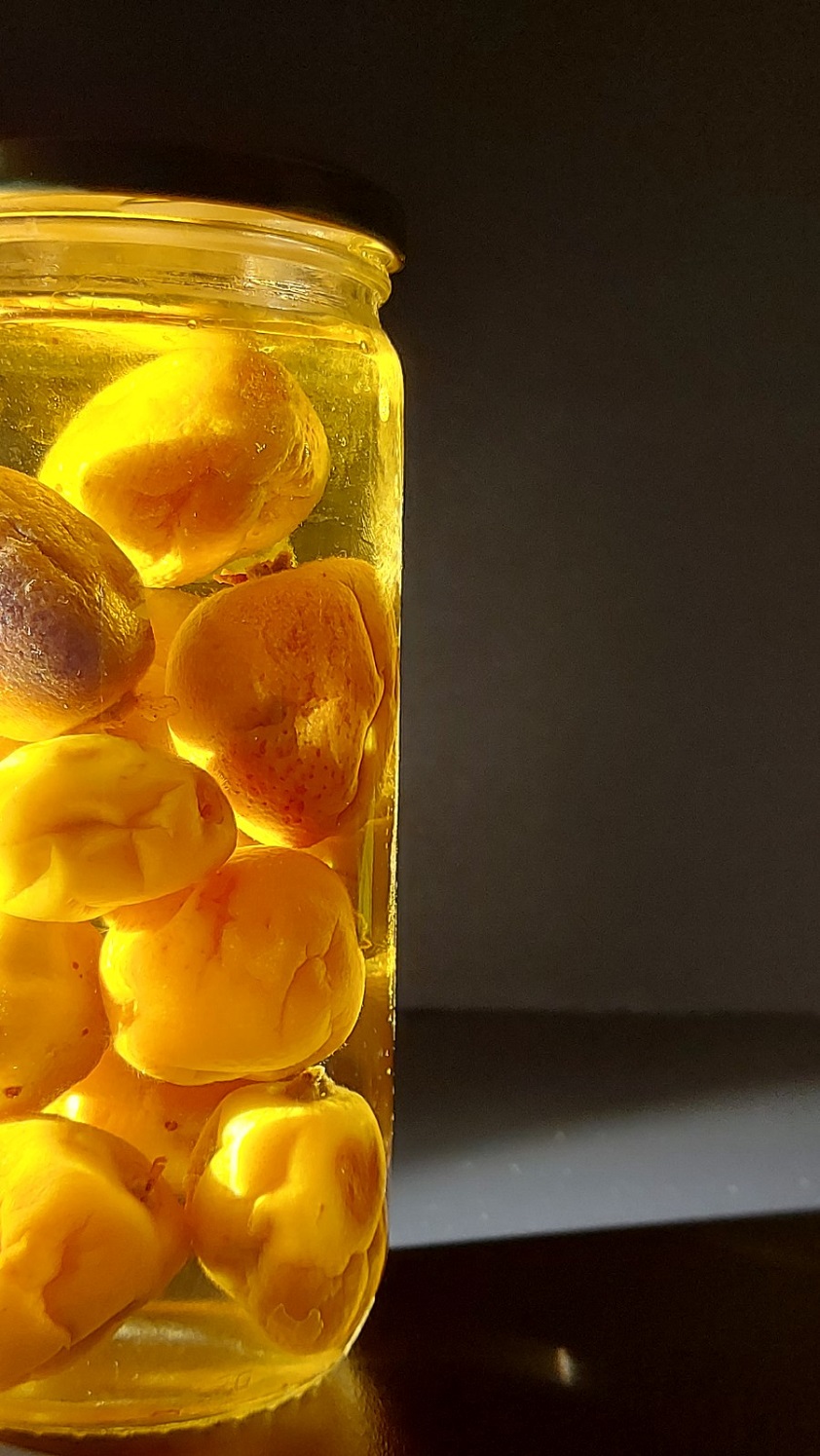 Pickled Loquat Fruit – Letsforkandspoon